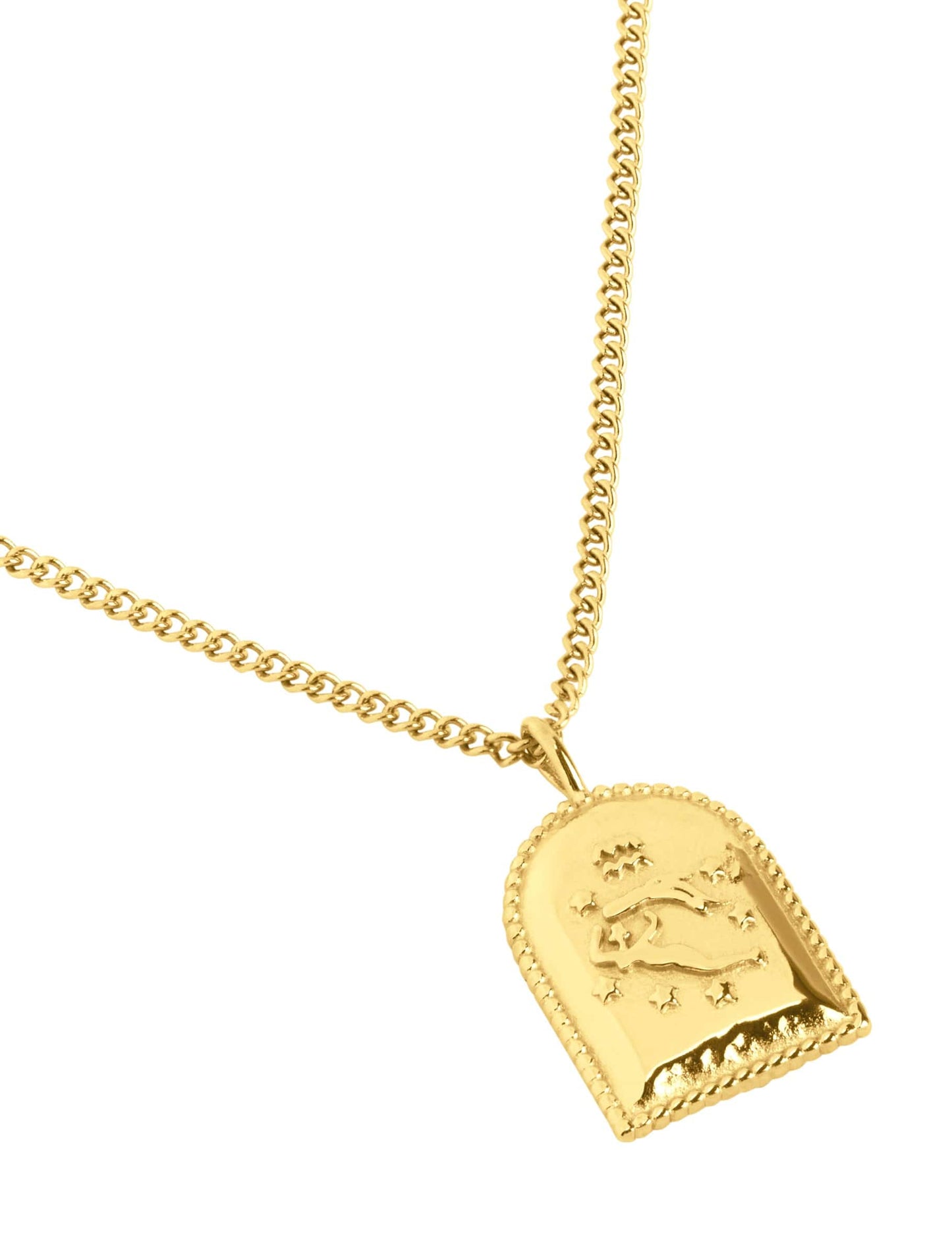 Aquarius Zodiac Necklace – Dear Addison